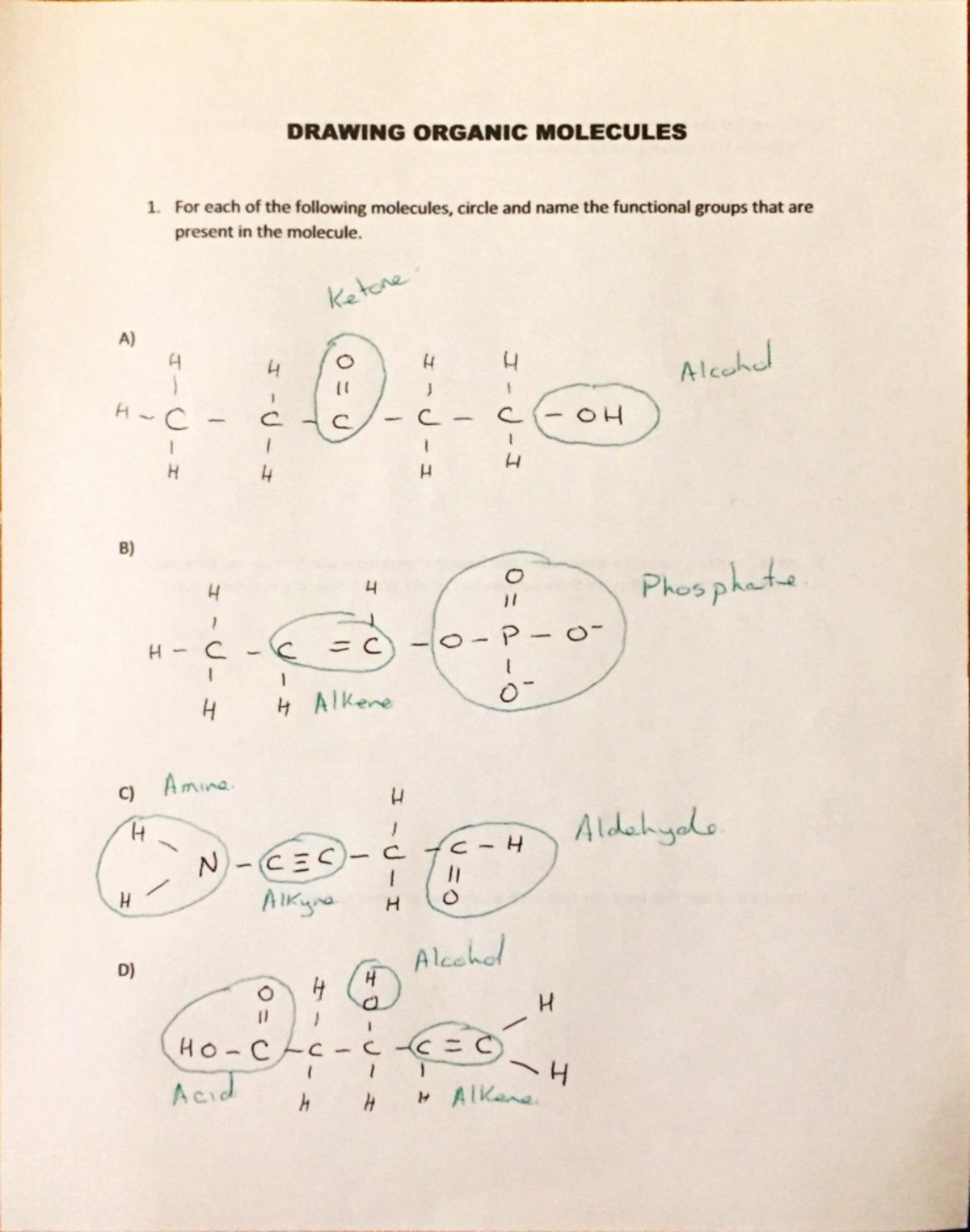 Organic Worksheet Solutions: Functional Groups & Isomers - Studocu