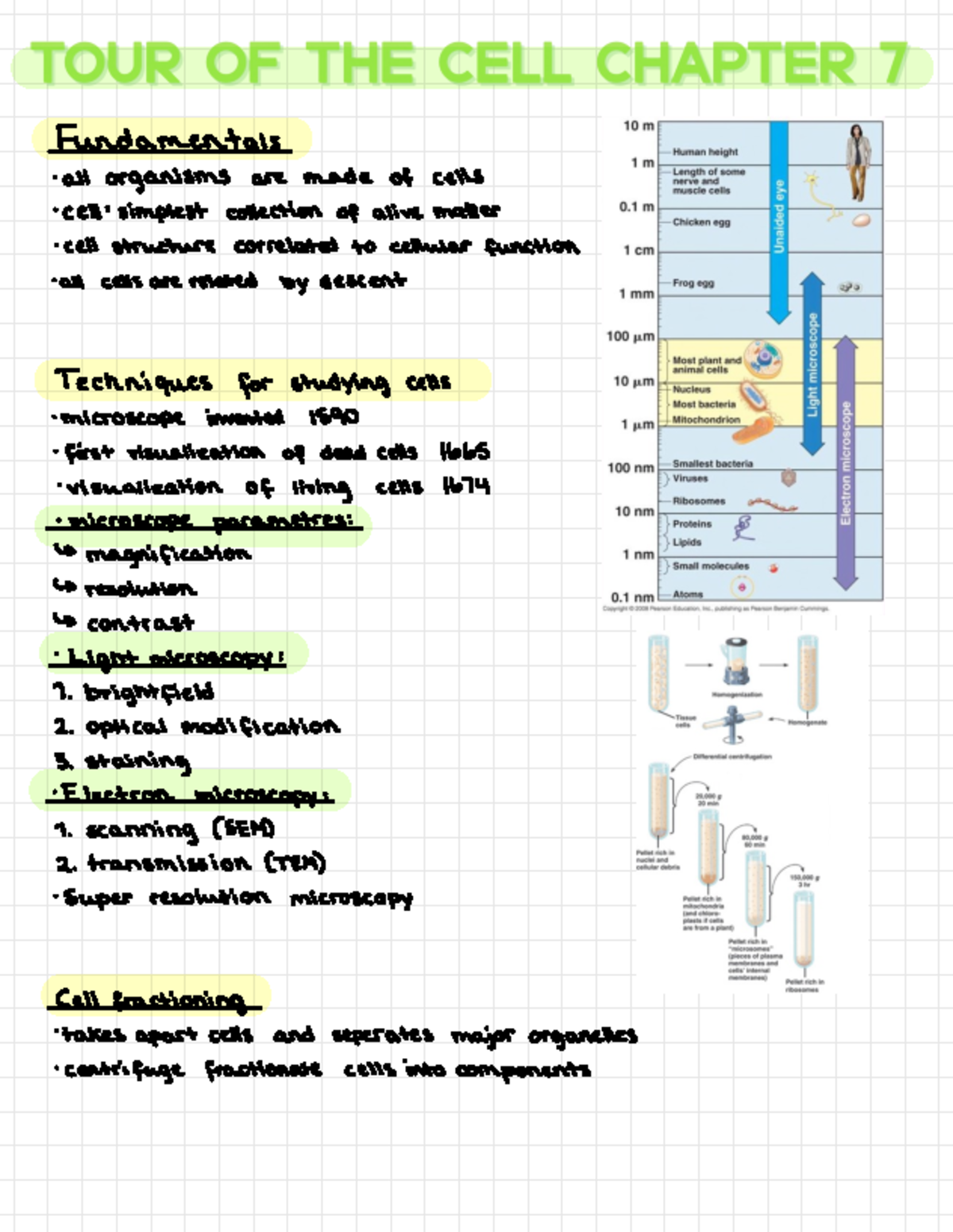 Tour Of The Cell - Short summary of the chapter with tour of the cell ...
