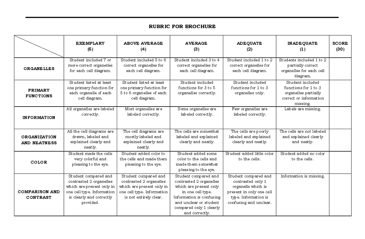 Rubric FOR CELL Diagram Drawing - RUBRIC FOR BROCHURE EXEMPLARY (5 ...