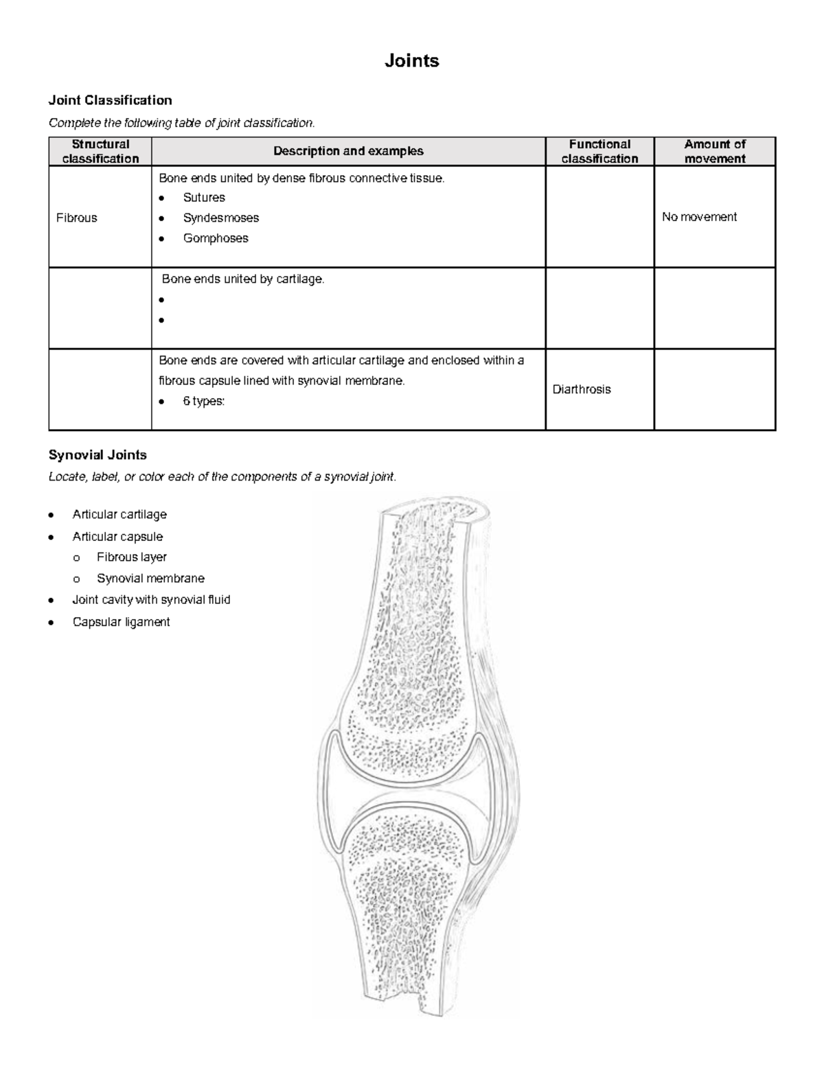 Joint Classification and Anatomy of Synovial Joints (BIO 101 Lab) - Studocu