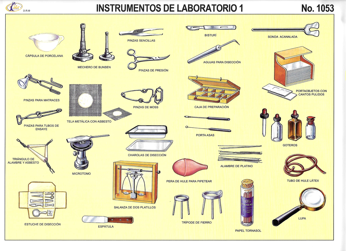 Instrumentos de Laboratorio 1: Herramientas y Equipos Utilizados - Studocu