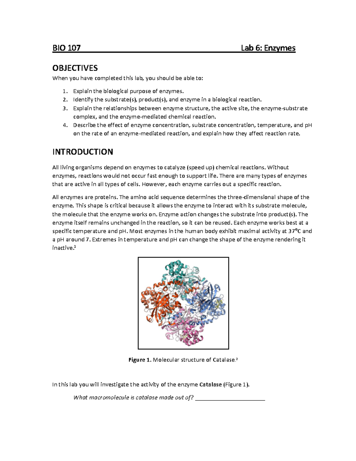 BIO 107 Lab 6: Investigating Enzyme Activity of Catalase - Studocu