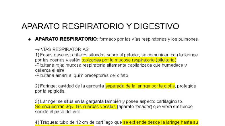 BIO 4: Aparato Respiratorio y Digestivo - Funciones y Fisiología - Studocu