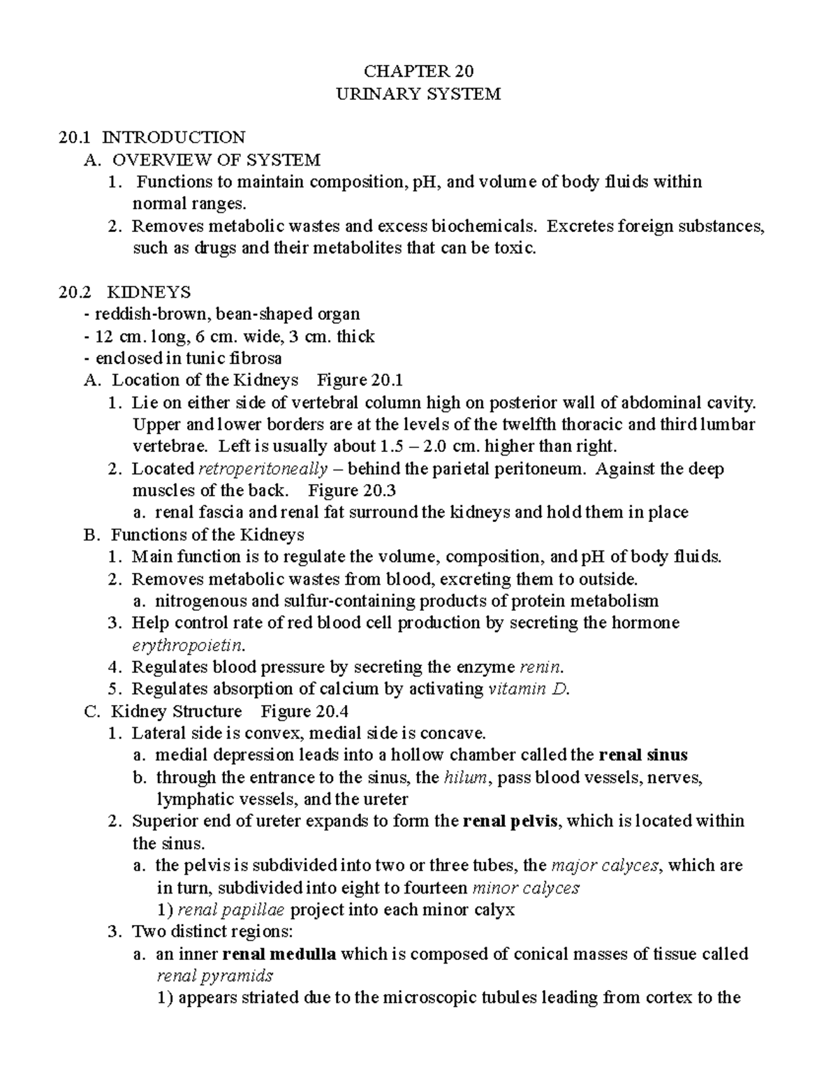 Chapter 20: Detailed Overview of the Urinary System (227) - Studocu