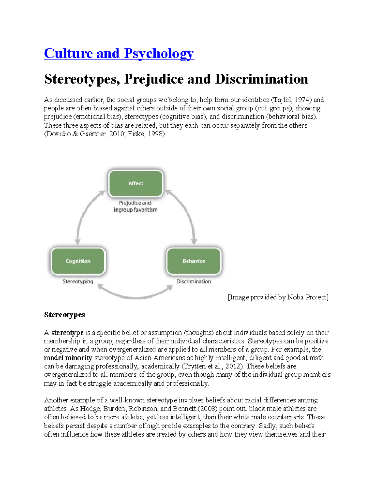 Culture and Psychology: Stereotypes, Prejudice, and Discrimination ...