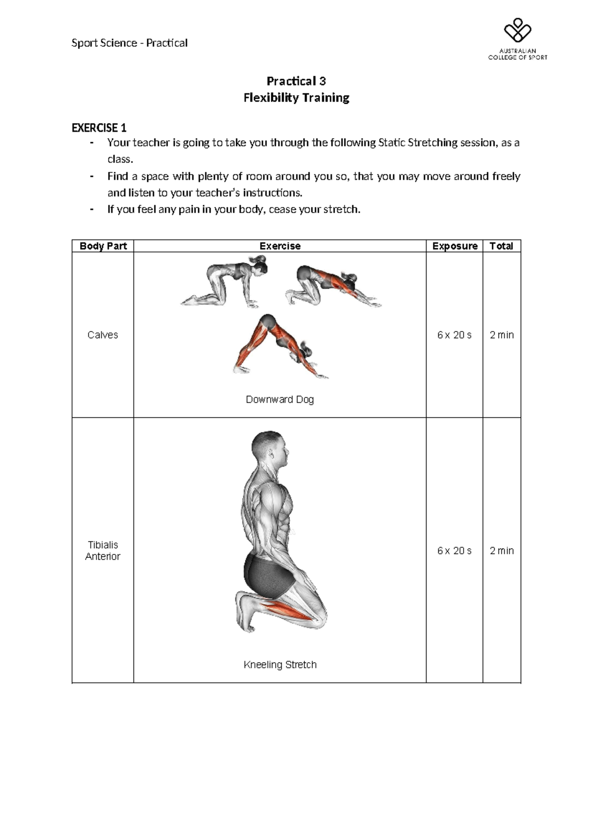 Practical 3: Flexibility Training Exercise Guide for Students - Studocu