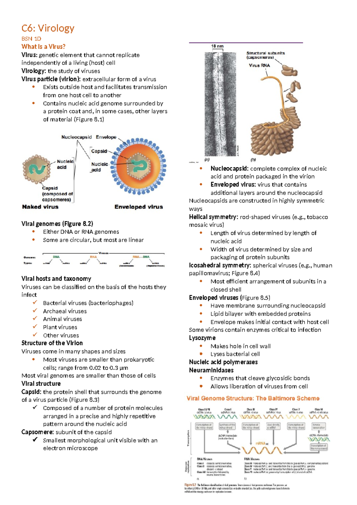 C6- Virology - BSN 1D What is a Virus? Virus: genetic element that ...
