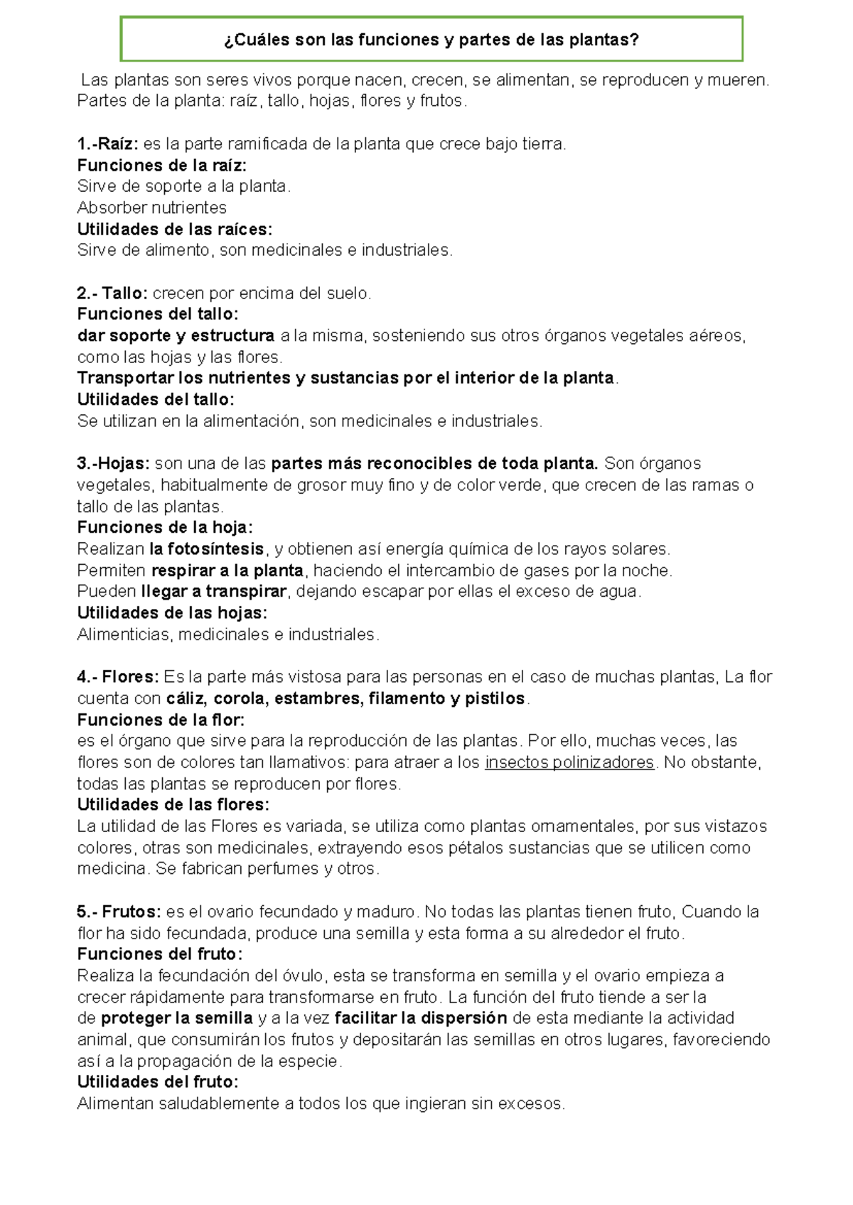 Funciones y Partes de las Plantas: Raíz, Tallo, Hojas, Flores y Frutos ...