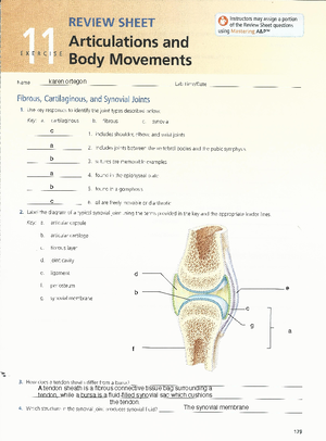 Histology Overview AND Epithelial Tissue - HISTOLOGY OVERVIEW AND EPITHELIAL TISSUE Four types ...