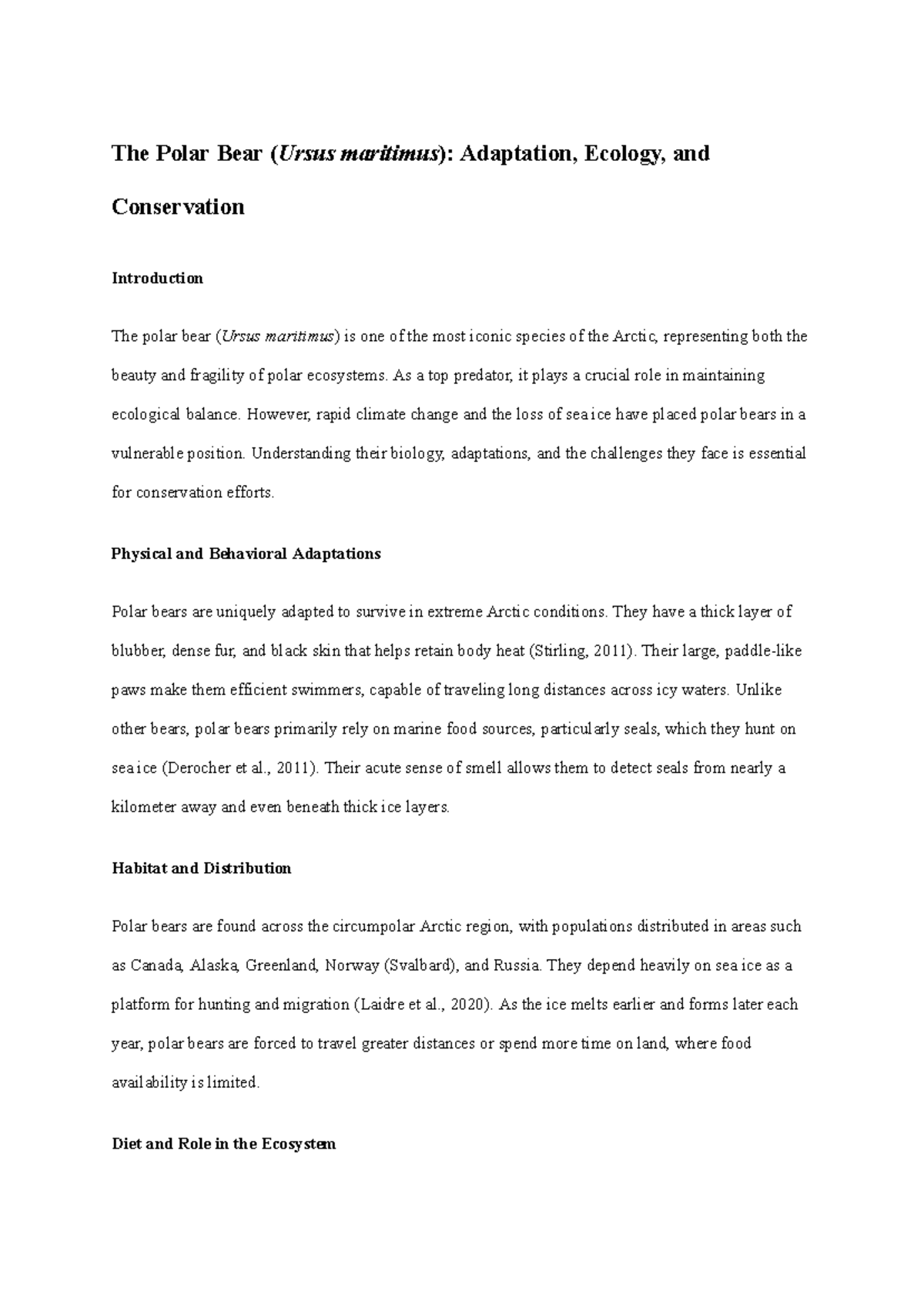 The Polar Bear (Ursus maritimus): Ecology, Adaptations & Conservation ...