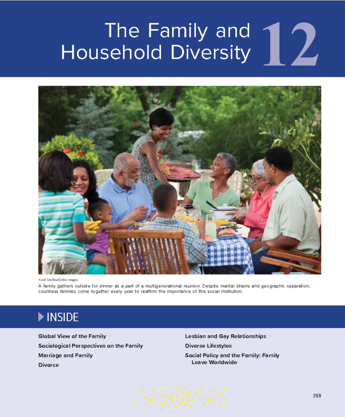Family and Household Diversity: Insights from Chapter 12 - Studocu
