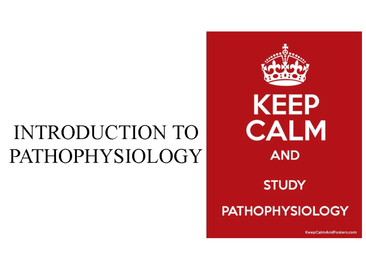 Introduction to Pathophysiology: Key Concepts and Frameworks - Studocu