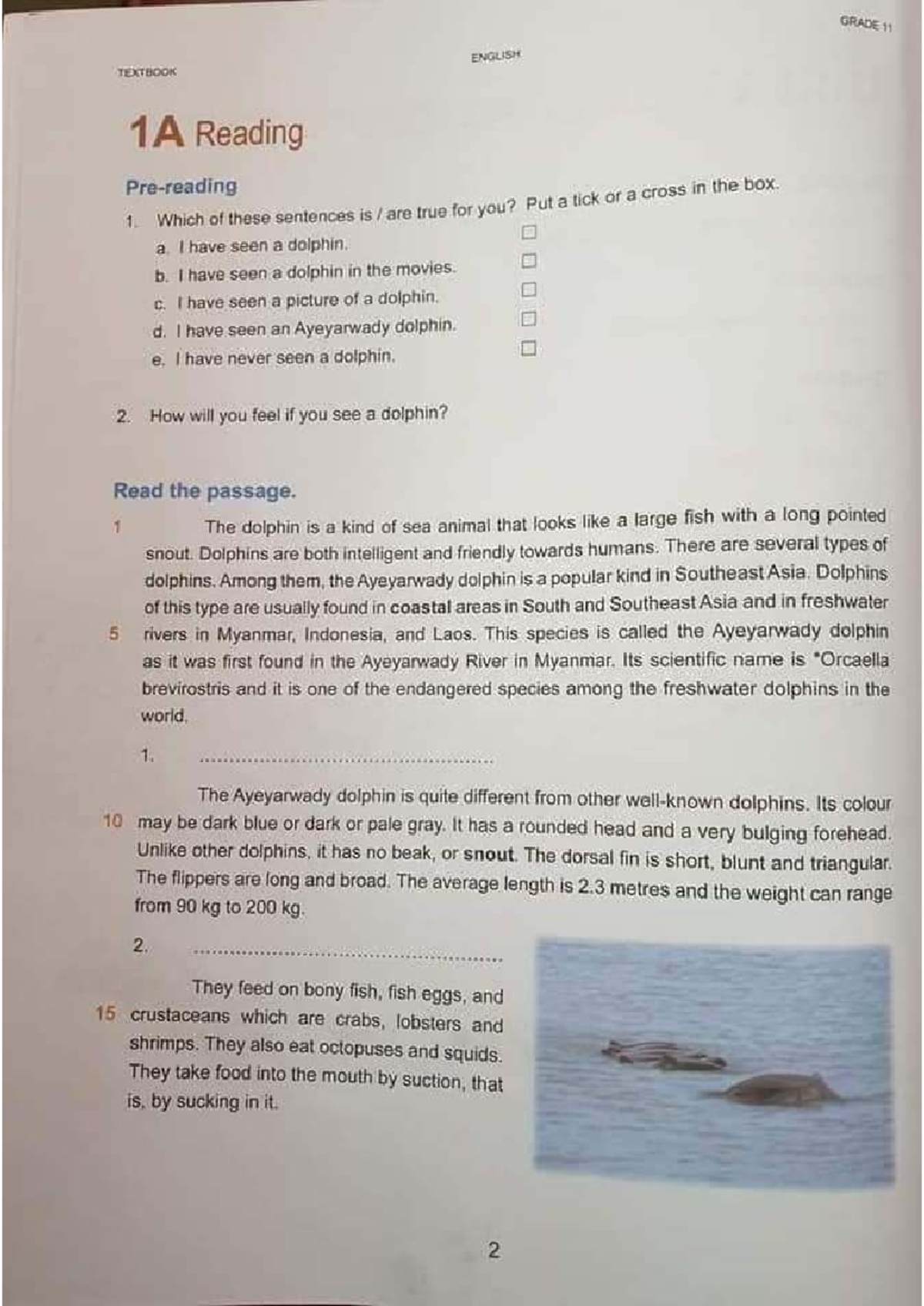 GRADE 11 ENGLISH TEXTBOOK 1A: Ayeyarwady Dolphin Overview and ...
