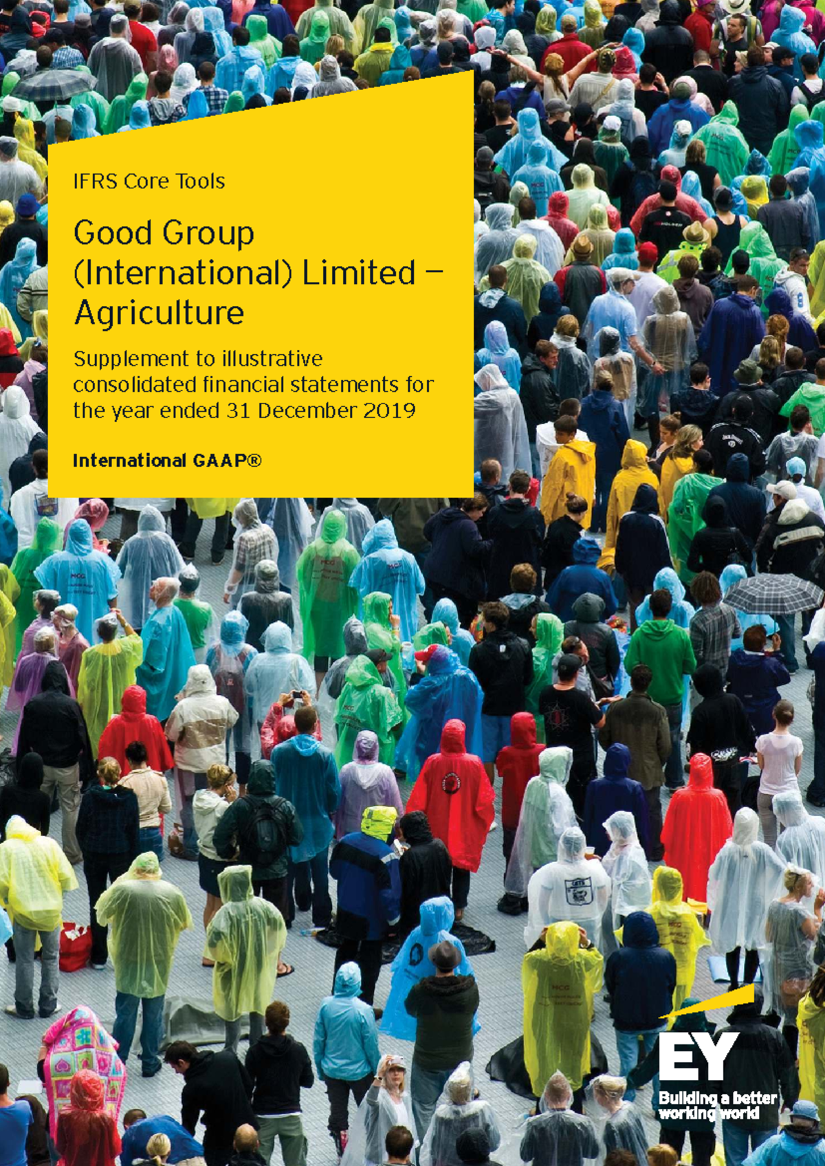 IFRS Supplement: Good Group (Int'l) Ltd Agriculture Financial ...