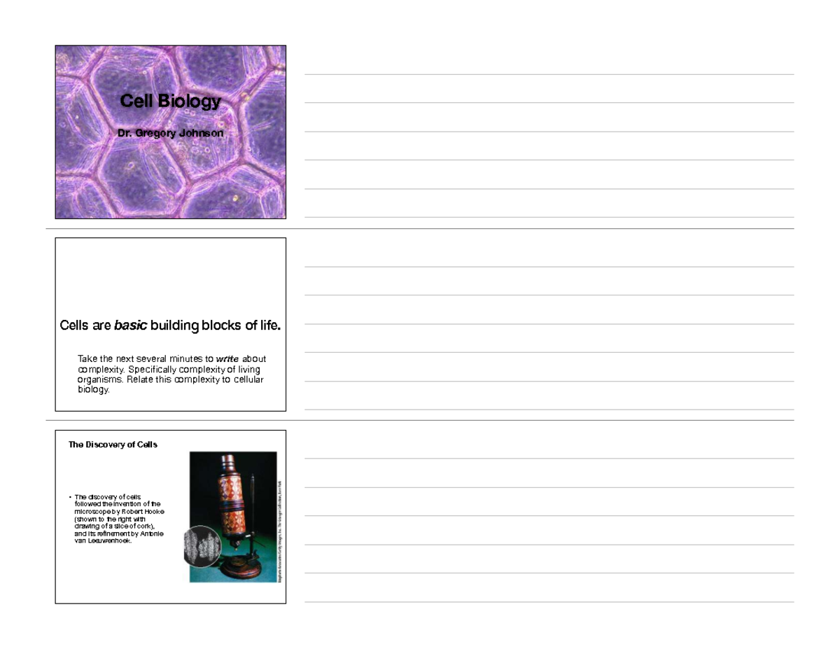 BIOL212 Final Exam Study Guide: Key Concepts in Cell Biology - Studocu