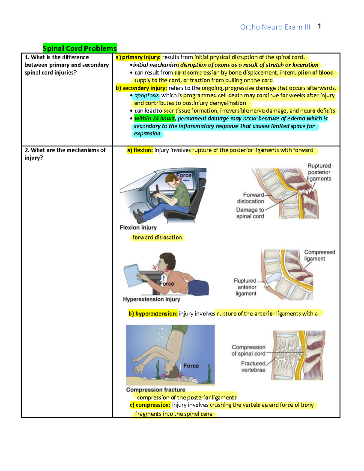 Ortho Neuro Exam III: Spinal Cord Injury Insights and Implications ...