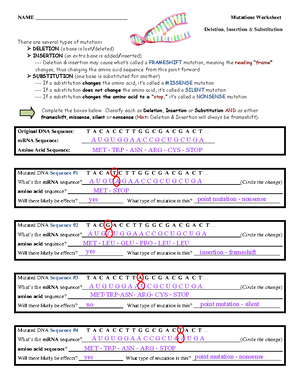 Gene Expression-Translation-S - Gene Expression—Translation 1 Gene ...