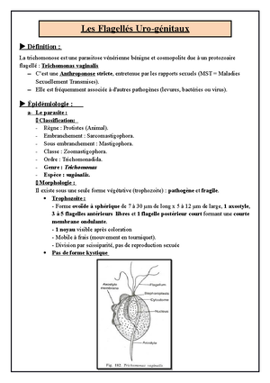 2- Amibes et amibiase - Classification - Rappel : Introduction : Les ...
