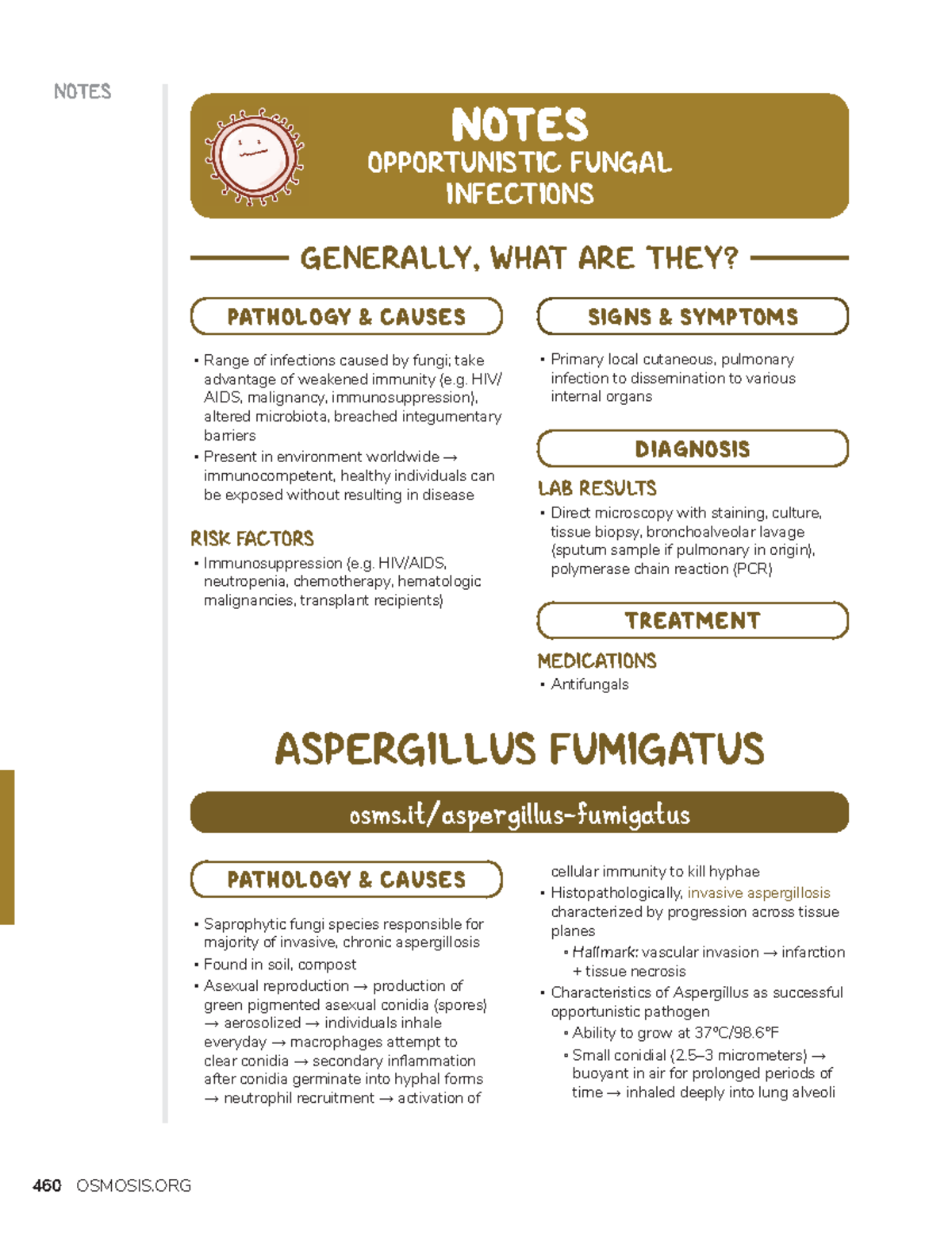 Opportunistic fungal infections - NOTES NOTES OPPORTUNISTIC FUNGAL ...