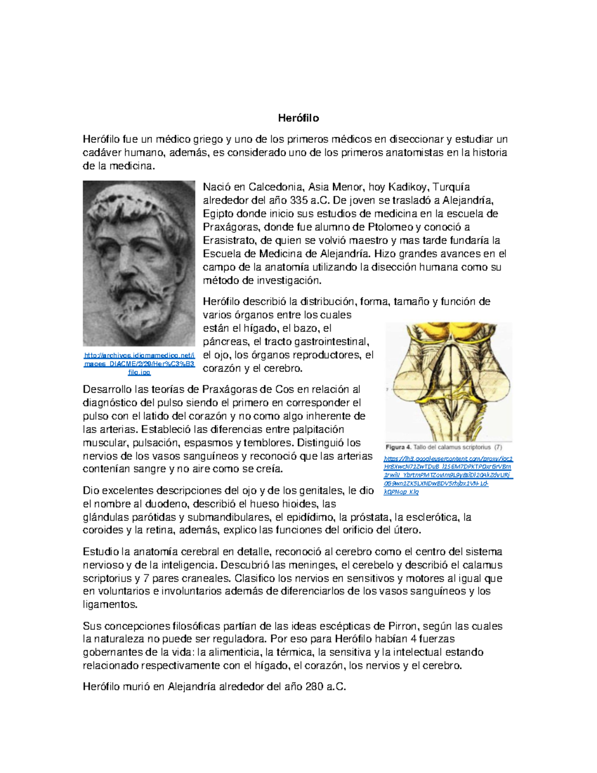 Biografías de Herófilo y Erasistrato: Pioneros de la Anatomía - Studocu