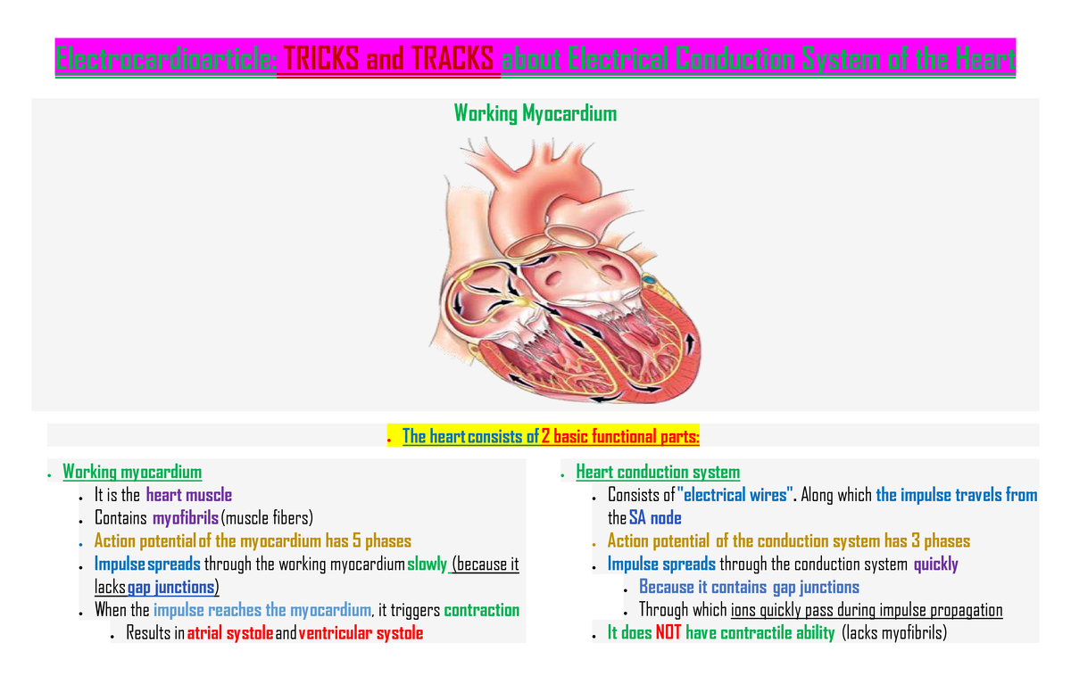 DR ofilio; Electrical Conduction System of the Heart: Key Concepts and ...