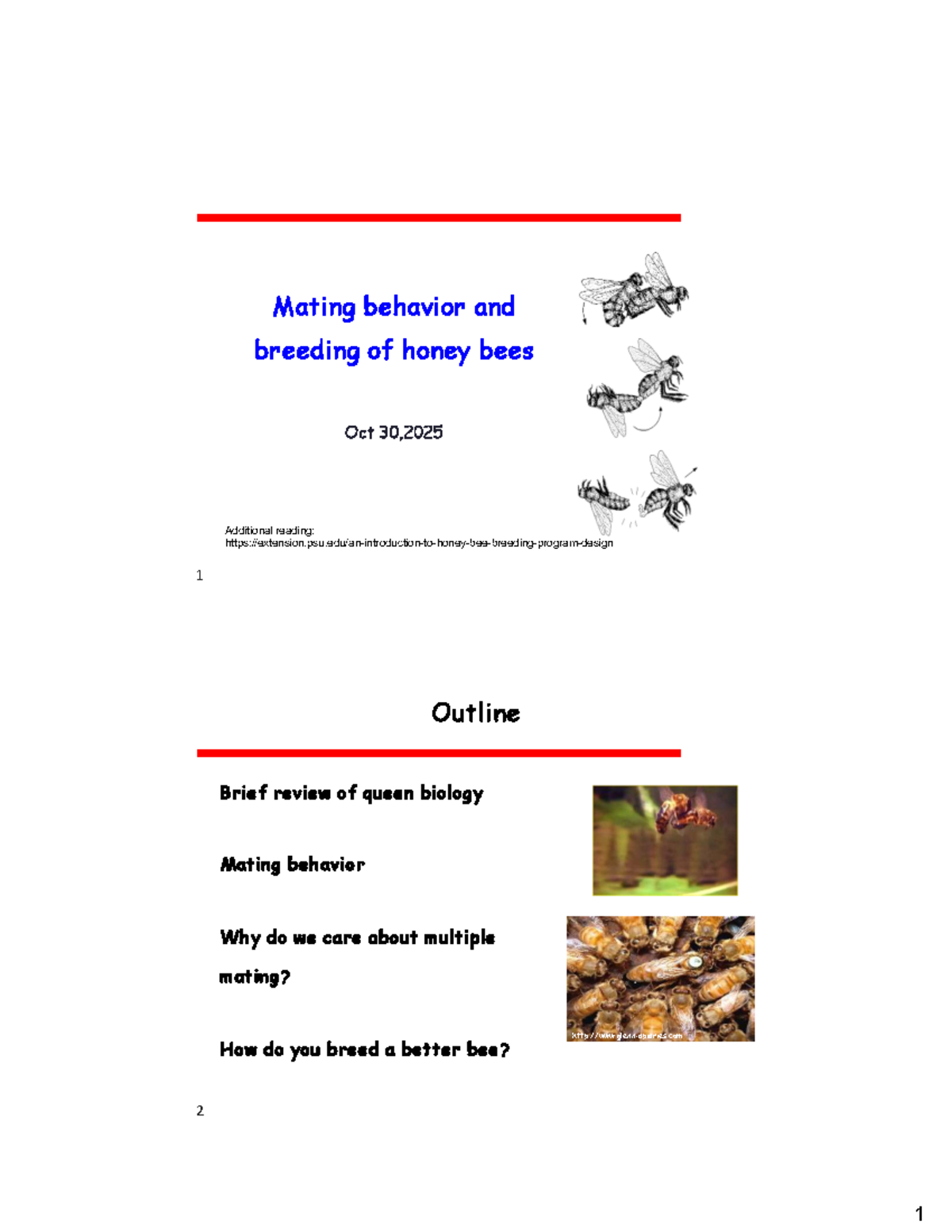 Mating and Breeding Behavior of Honey Bees (Course Code: 103025) - Studocu