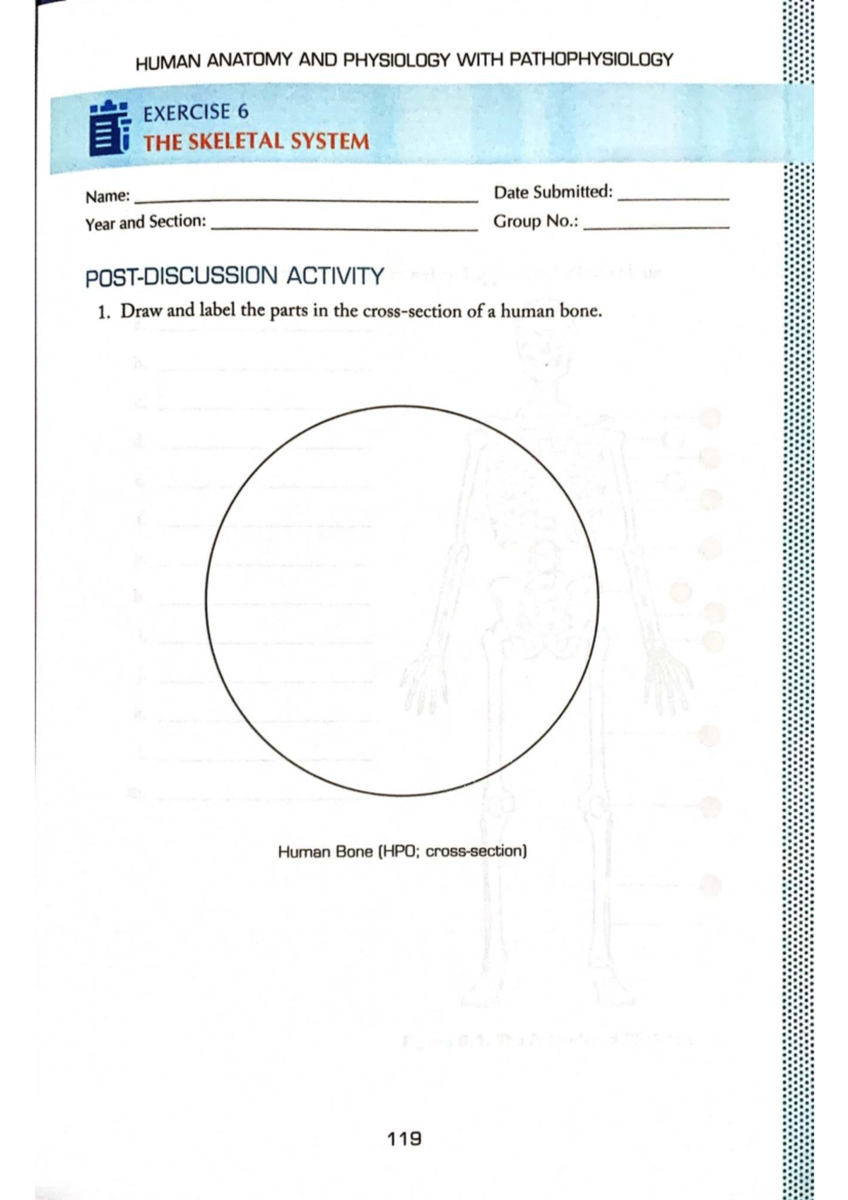 HUMAN ANATOMY & PHYSIOLOGY W/ PATHOPHYSIOLOGY EXERCISE 6: SKELETAL ...
