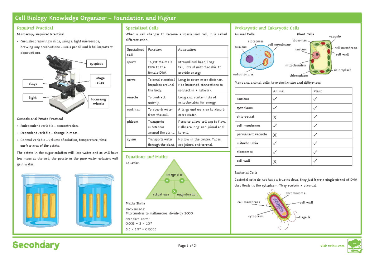 AQA Cell Biology Knowledge Organiser - Cell Biology Knowledge Organiser ...