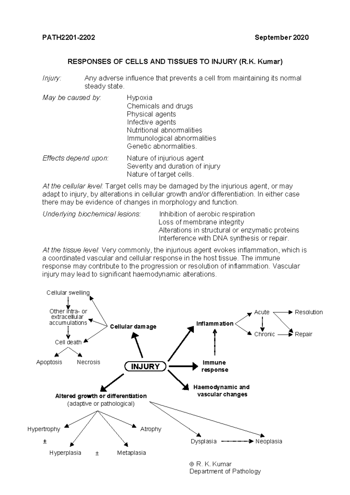 Responses to Injury - PATH2201-2202 September 2020 RESPONSES OF CELLS ...