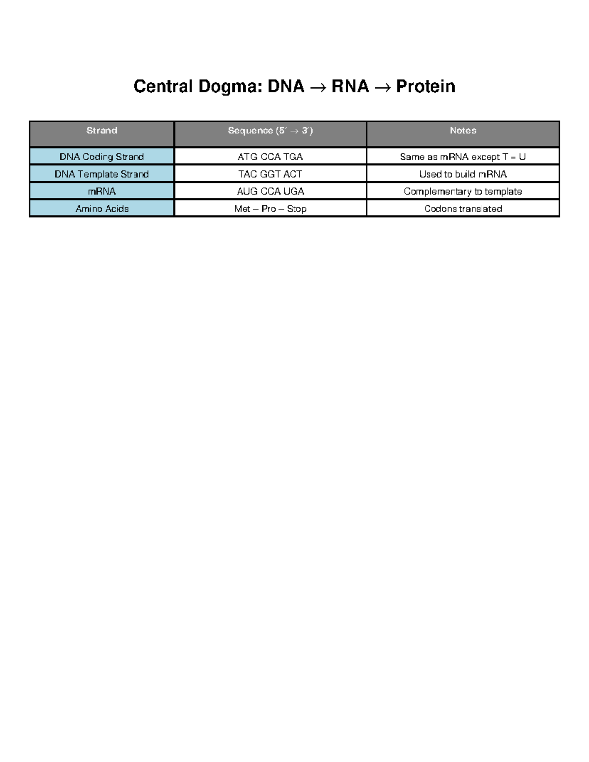Central Dogma Chart - lecture notes - BIO-101-B02 - Central Dogma: DNA ...