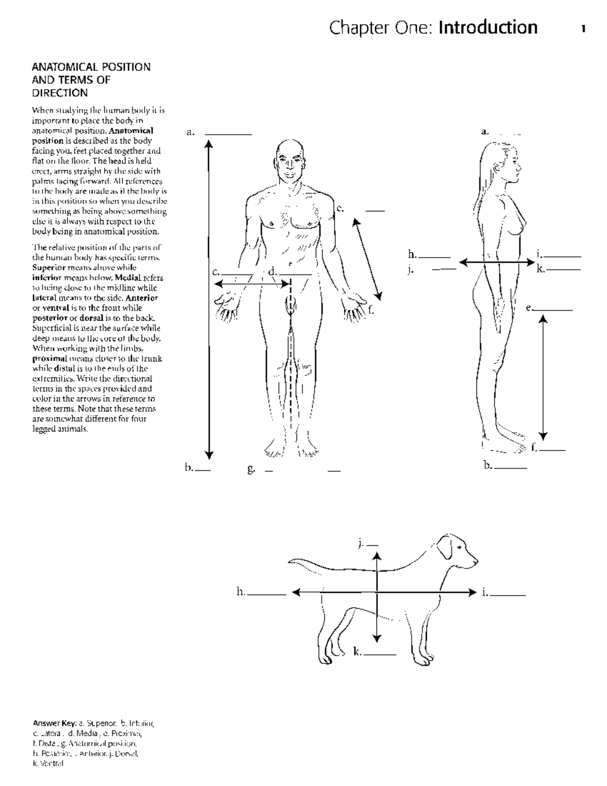 human anatomy coloring book - Chapter One: Introduction ANATOMICAL ...