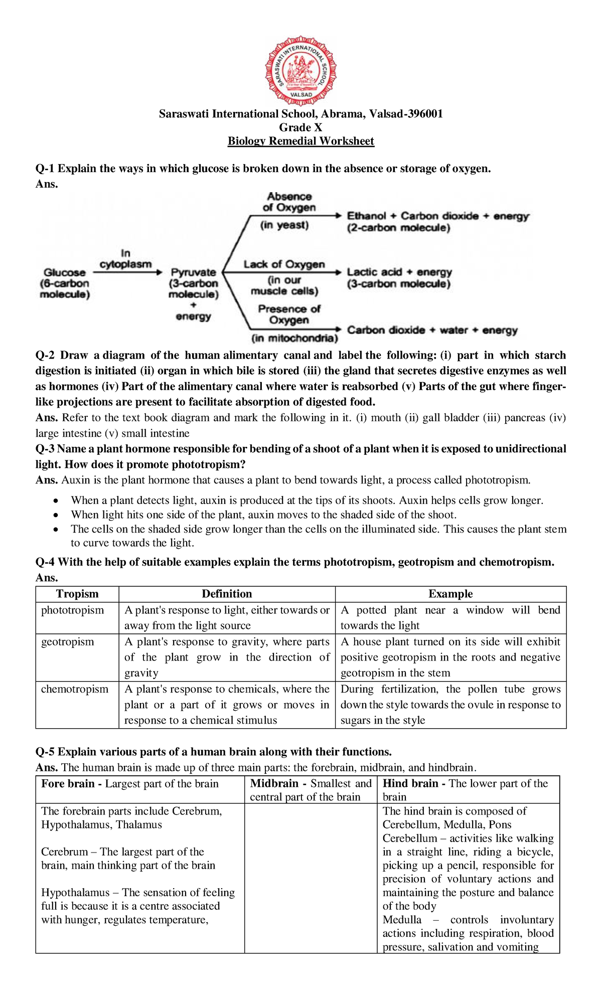 Biology Remedial Worksheet for Grade X: Key Concepts and Diagrams - Studocu