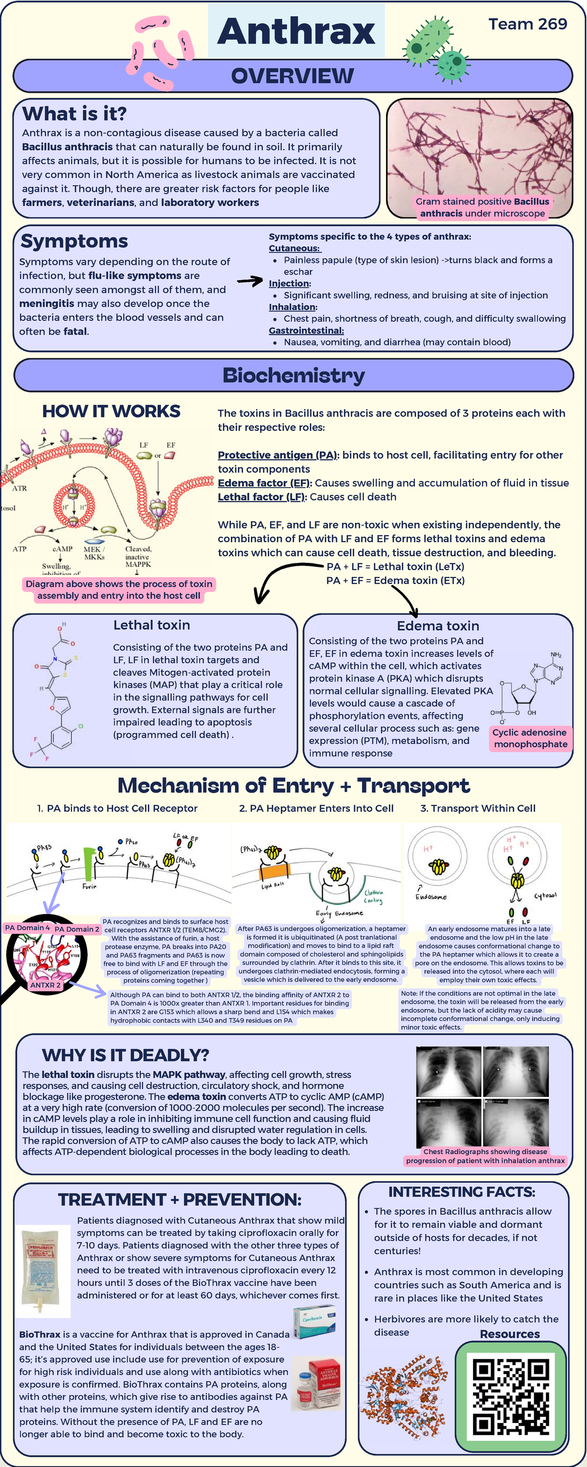 Anthrax Overview: Understanding Bacillus anthracis and Its Effects ...