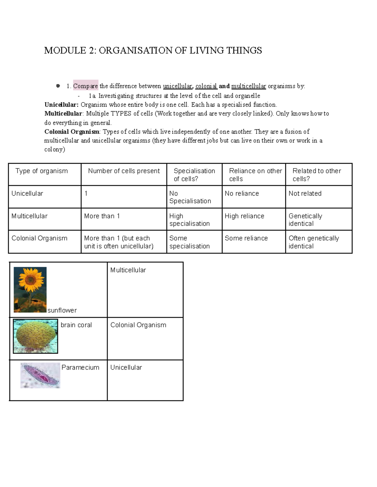 Year 11 Biology: Module 2 - Organisation of Living Things Notes - Studocu