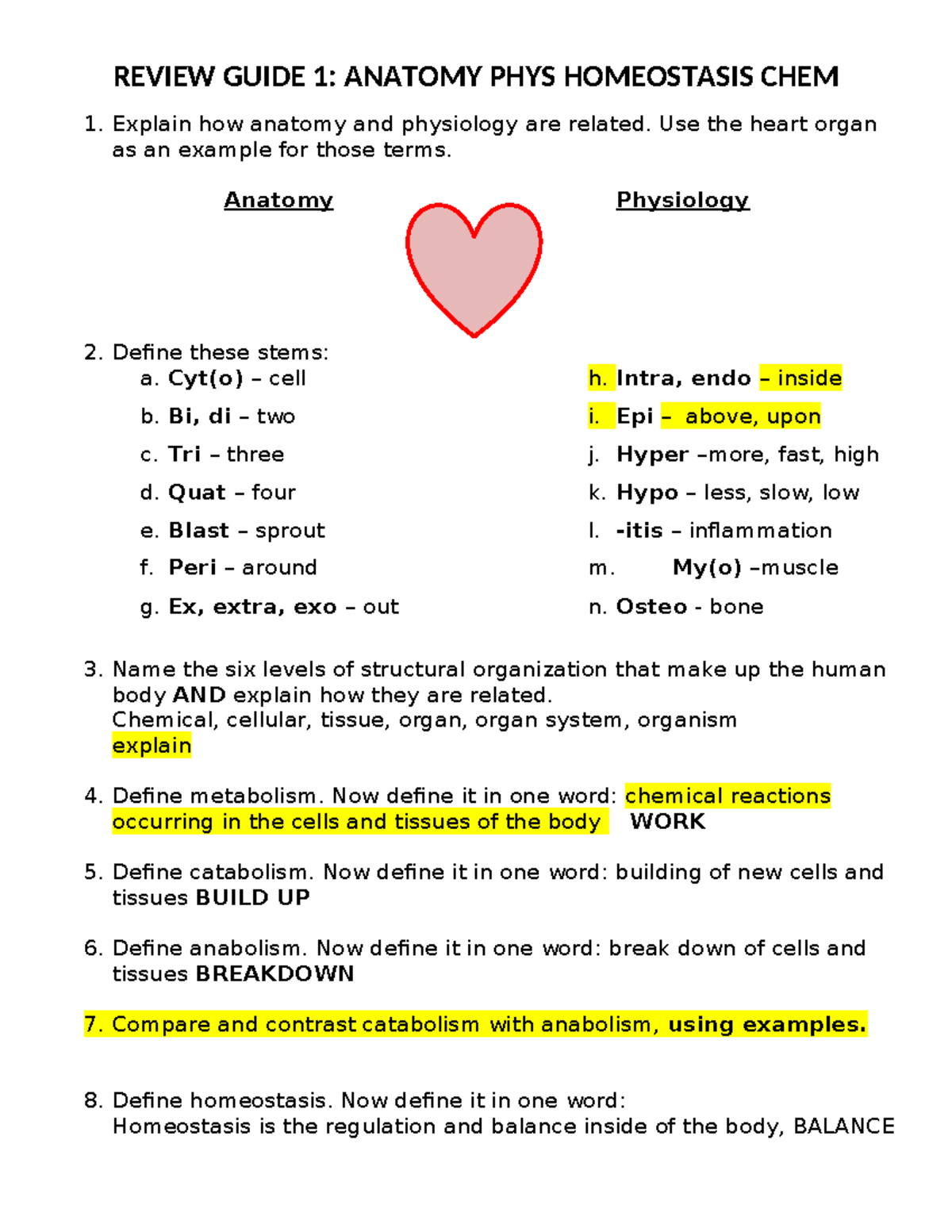 REVIEW GUIDE: ANATOMY & PHYSIOLOGY HOMEOSTASIS CHEM 1 - Studocu