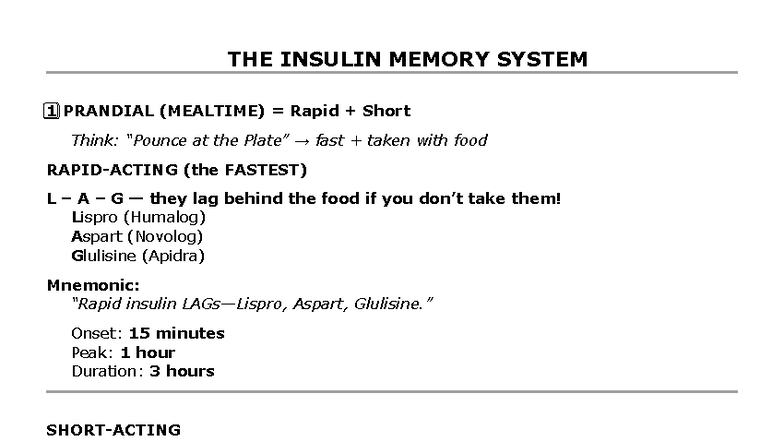 Insulin Memory System: Prandial & Basal Overview - Studocu