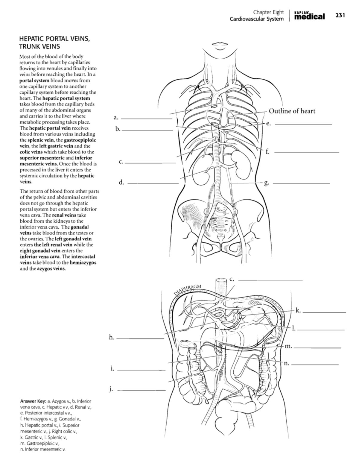 Kaplan Anatomy Coloring Book - HEPATIC PORTAL VEINS, TRUNK VEINS Most ...