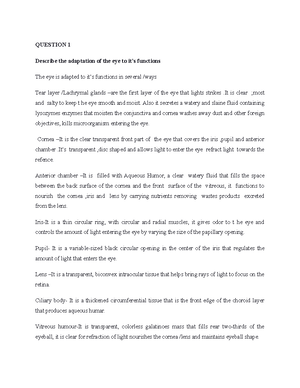 [Solved] Ukitumia mifano jadili umuhimu wa fonetiki - Education (EDB ...