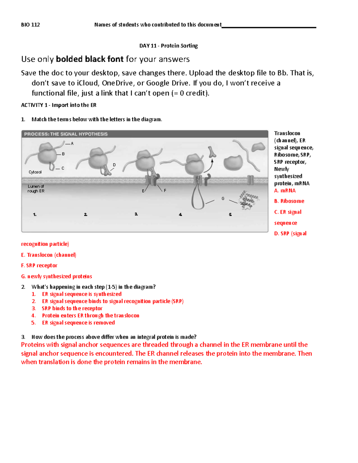 BIO 112 Activity: Protein Sorting & ER Import Processes - Studocu