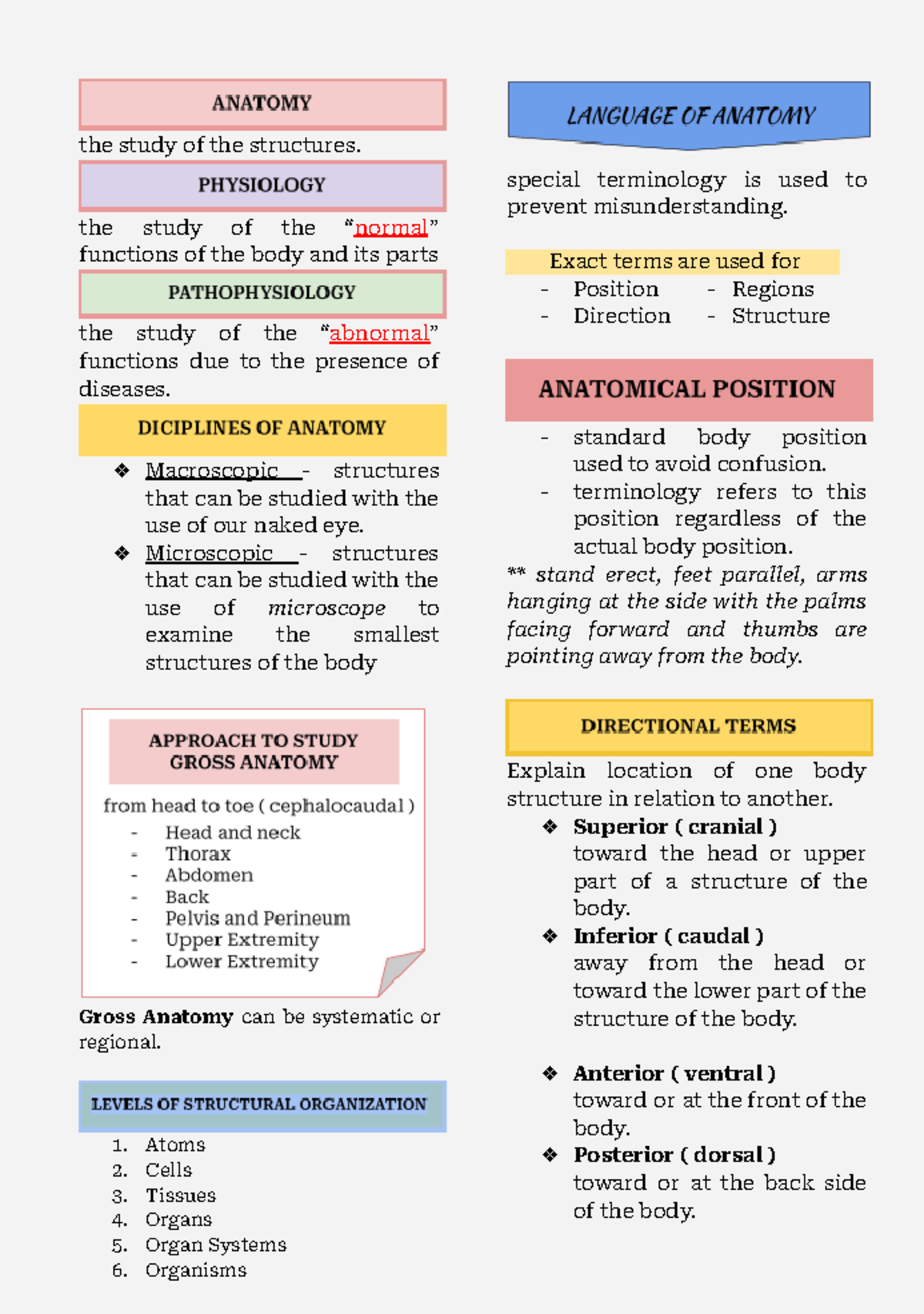 Language of Anatomy - the study of the structures. the study of the ...