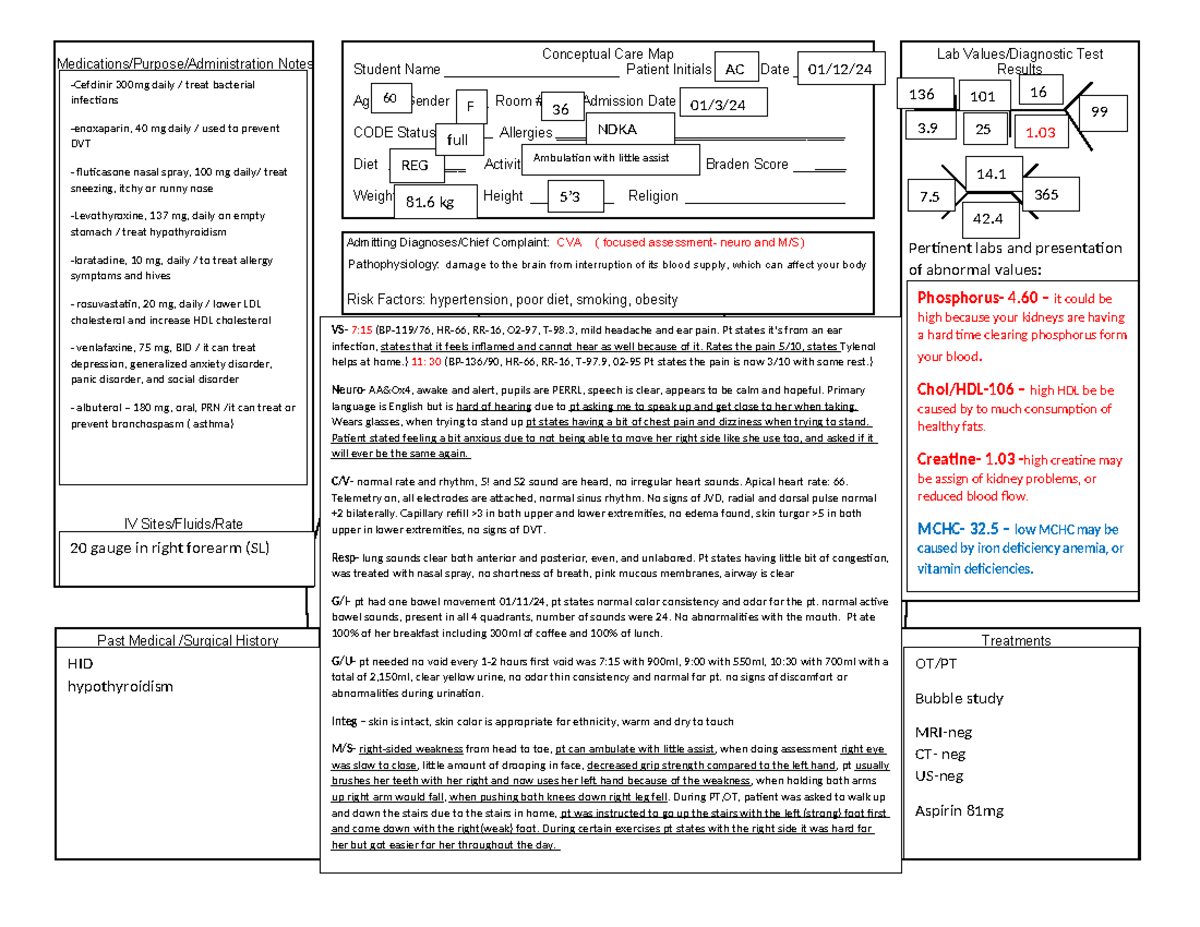 CVA Care Map: Nursing Assessment & Interventions for Patient Recovery ...