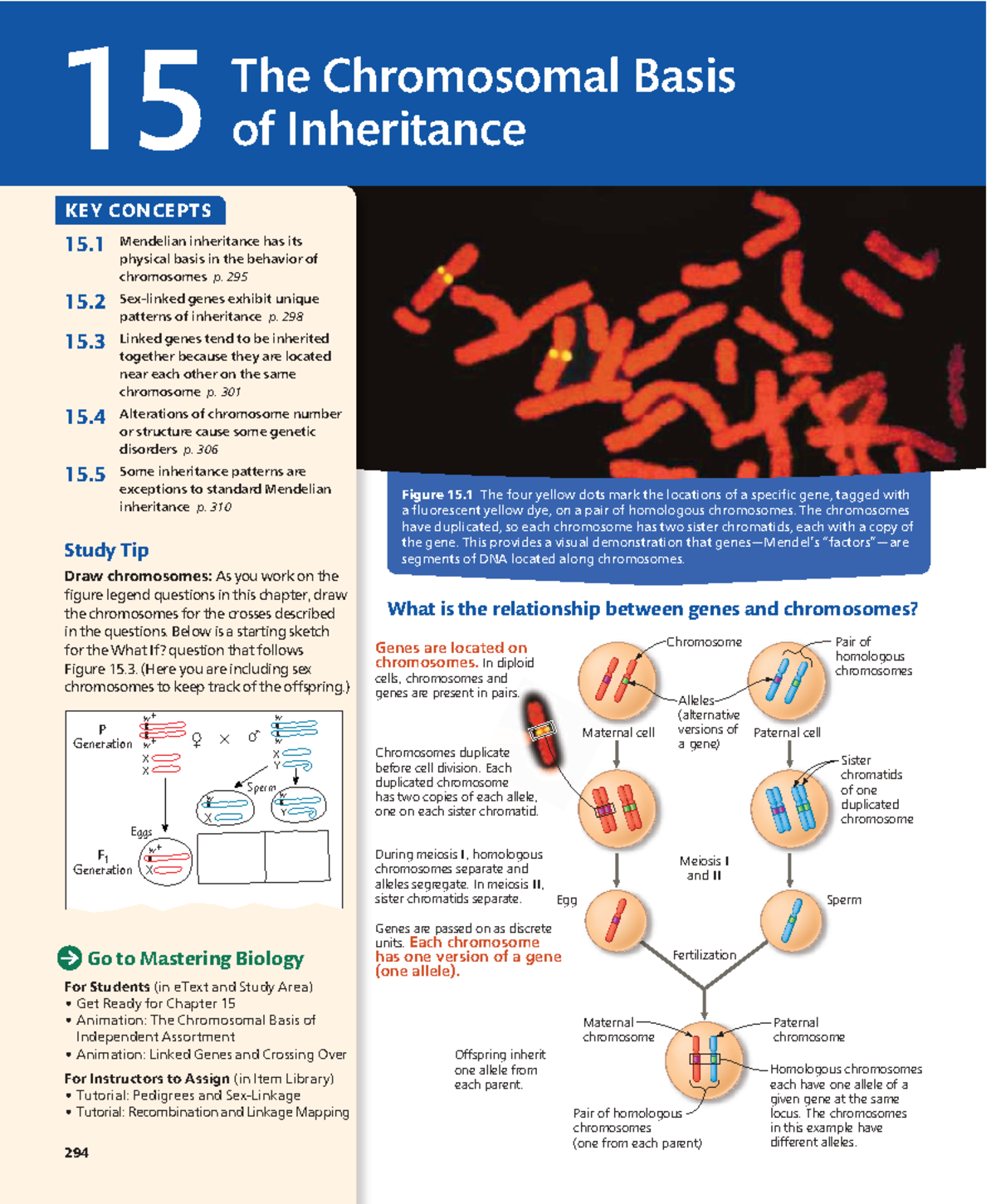 Campbell Biology - Chapter 15: The Chromosomal Basis of Inheritance ...