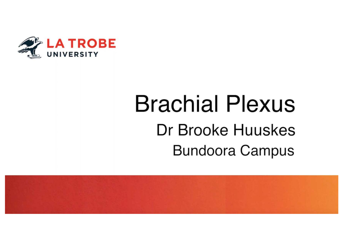 Brachial Plexus Lecture Notes - Dr. Brooke Huuskes - Studocu