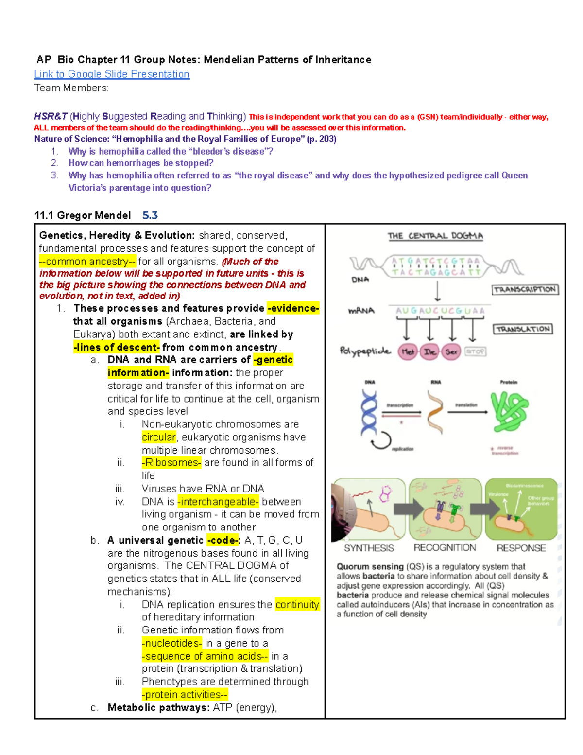 AP Biology Ch 11 - AP Bio Chapter 11 Group Notes: Mendelian Patterns of ...