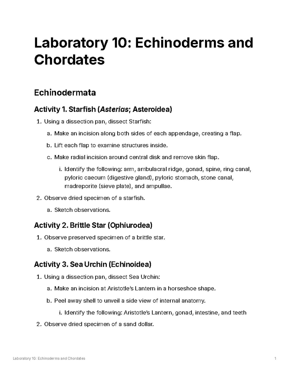 Laboratory 10: Echinoderms and Chordates Dissection Activities - Studocu