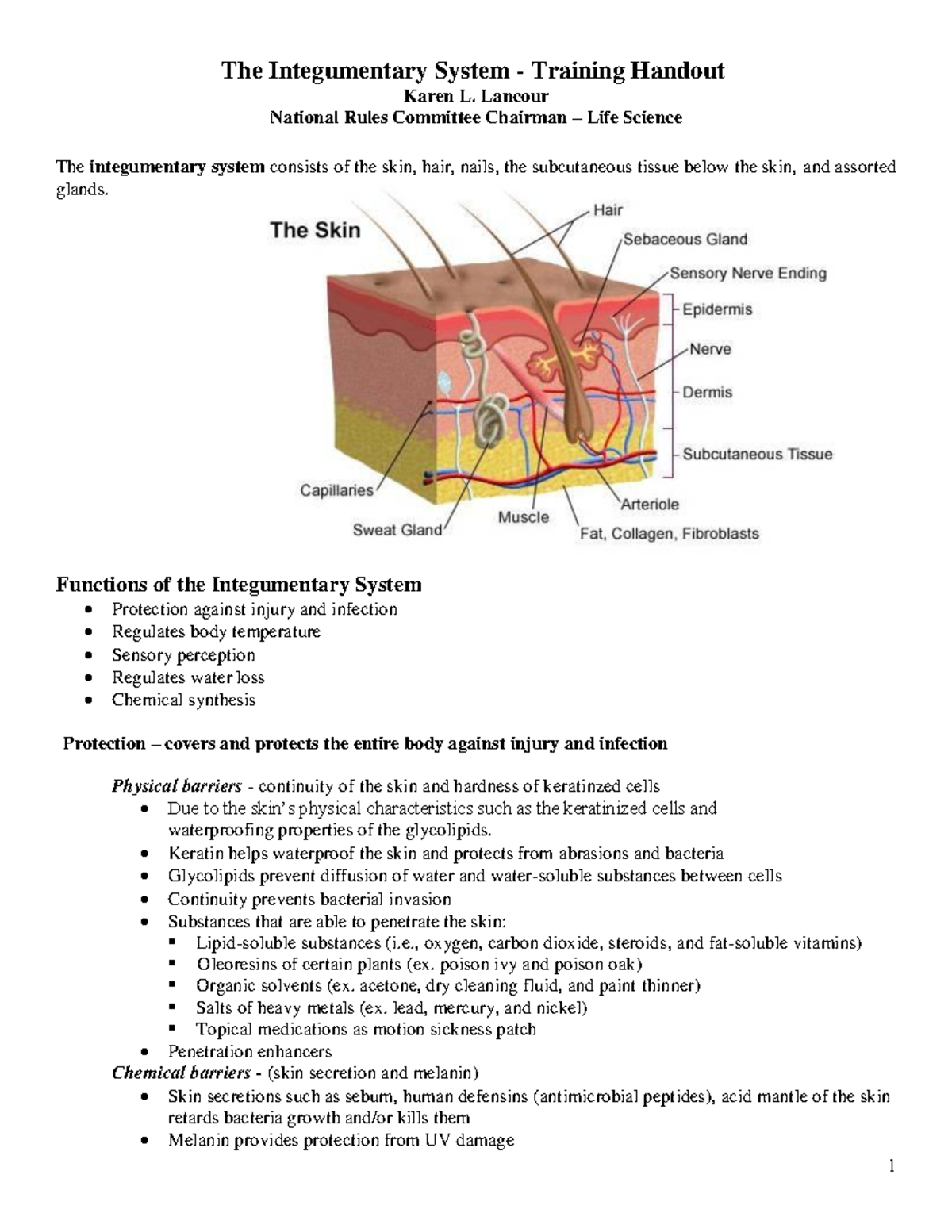 16 A&P Integumentary Handout - The Integumentary System - Training ...