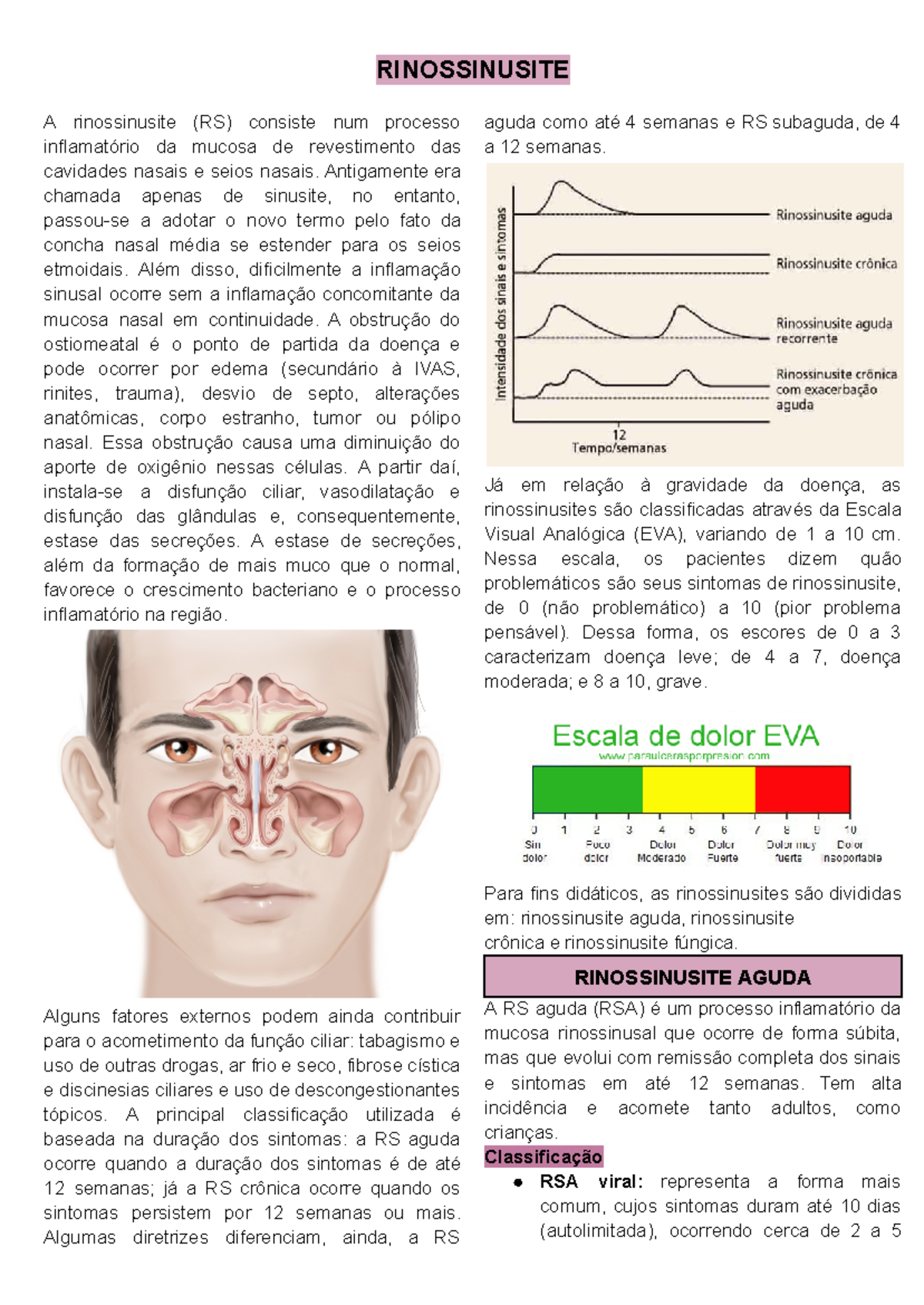 Rinossinusite - imprimir - A rinossinusite (RS) consiste num processo ...