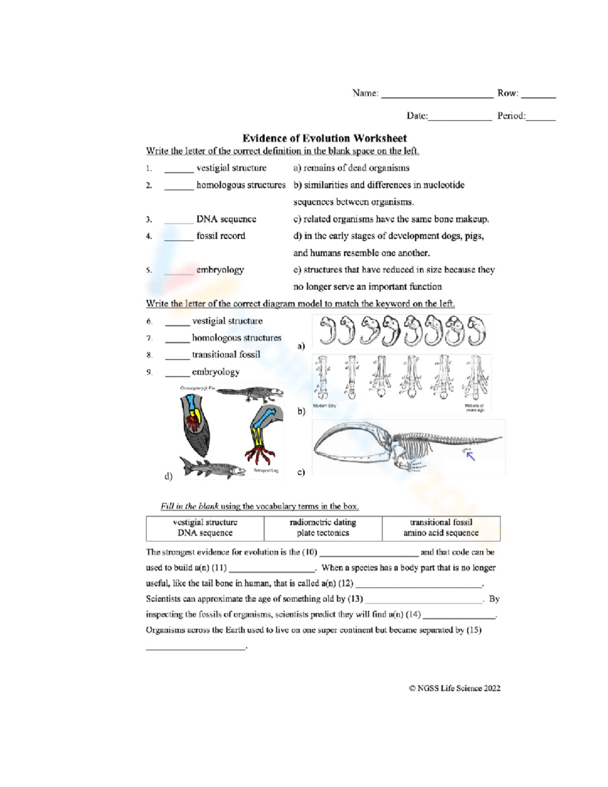 Evidence OF Evolution - assignment - Name: Row: Date: Period: Evidence ...