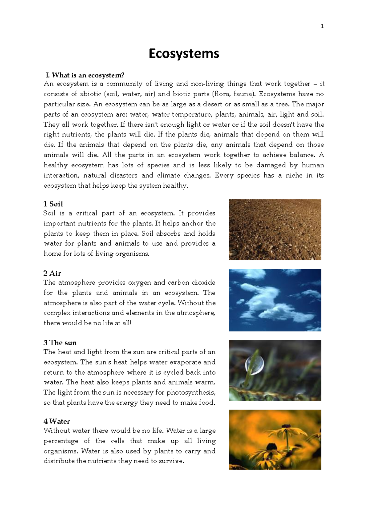 Ecosystems: Understanding Dynamics of Living and Non-Living ...