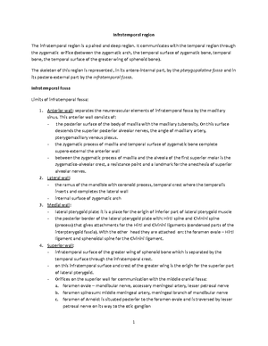 Buccal region - Anatomy - Buccal region It is a perioral region ...